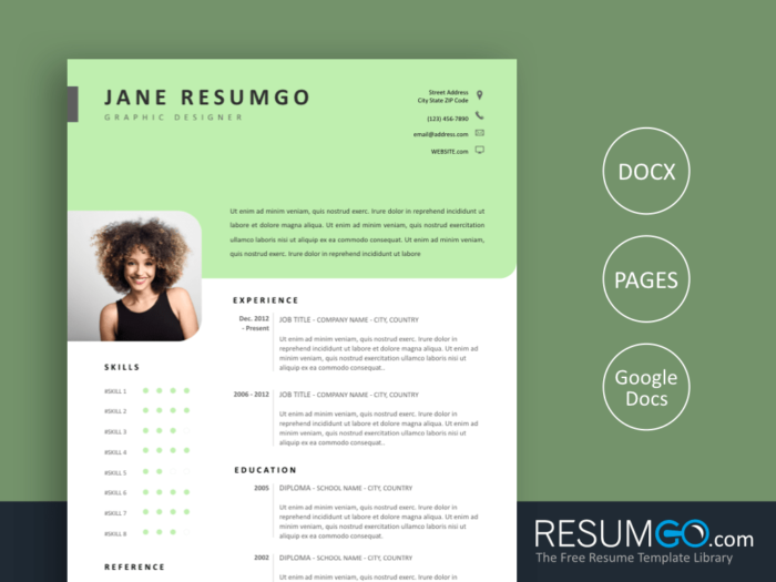 THAIS – Modern Resume Template With Header | ResumGO