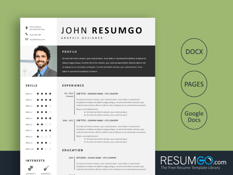 FOTIS – Modern Gray Resume Template | ResumGO