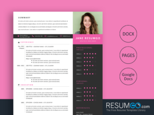 DAMOKLES – Modern and Professional Resume Template | ResumGO