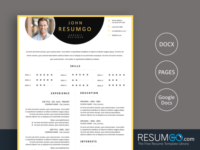 PARASKEVE – Yellow Border Resume Template | ResumGO