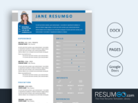 USIRIS – Blue Gray Modern Resume Template | ResumGO