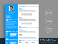 VASILIS - Modern Resume Template | ResumGO