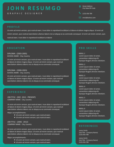 ZEPHYR – Dark Grid Resume Template | ResumGO