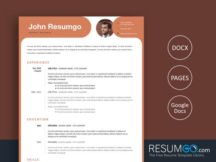 CHARITON – Blue & Gold Resume Template | ResumGO
