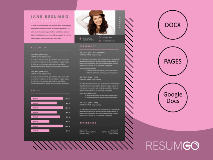 USIRIS – Blue Gray Modern Resume Template | ResumGO