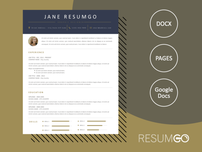 CHARITON – Blue & Gold Resume Template | ResumGO