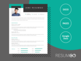 DEMETER – Professional 1-Column Resume Template | ResumGO