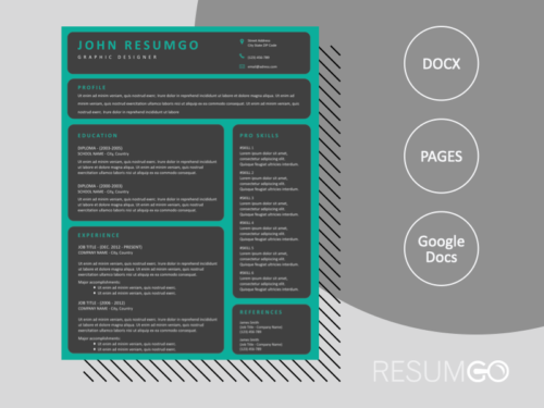 ZEPHYR – Dark Grid Resume Template | ResumGO