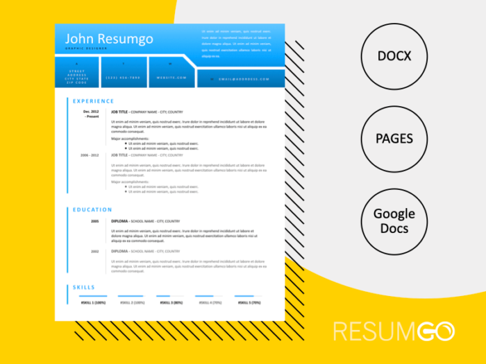 CYPRESS – Solid 2-column Resume Template | ResumGO