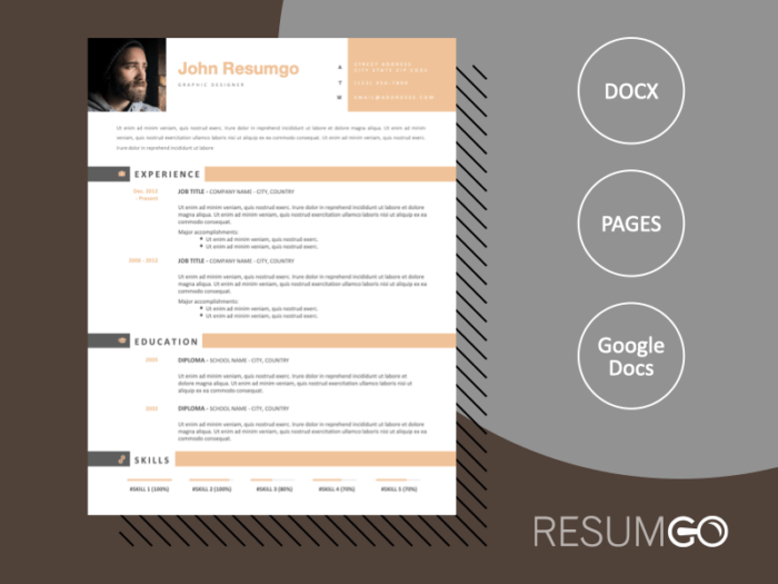 TAYLEN – Neat Resume Template | ResumGO