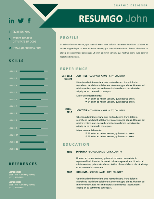 BONFIM – Resume Template With a Geometric Design | ResumGO