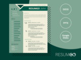 BONFIM – Resume Template With a Geometric Design | ResumGO