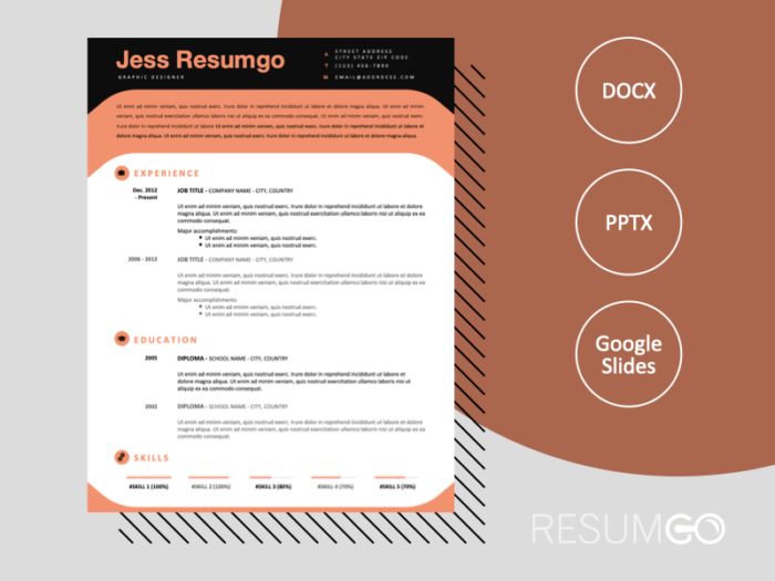 Free Resume Templates with Border - Instant Download | ResumGO