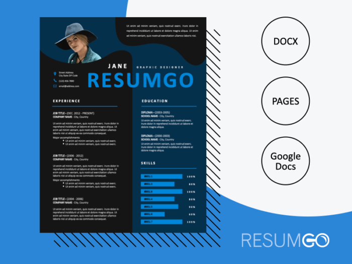 NESTOR – Purple Diamond Resume Template | ResumGO