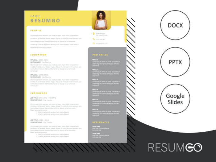 THAIS – Modern Resume Template With Header | ResumGO