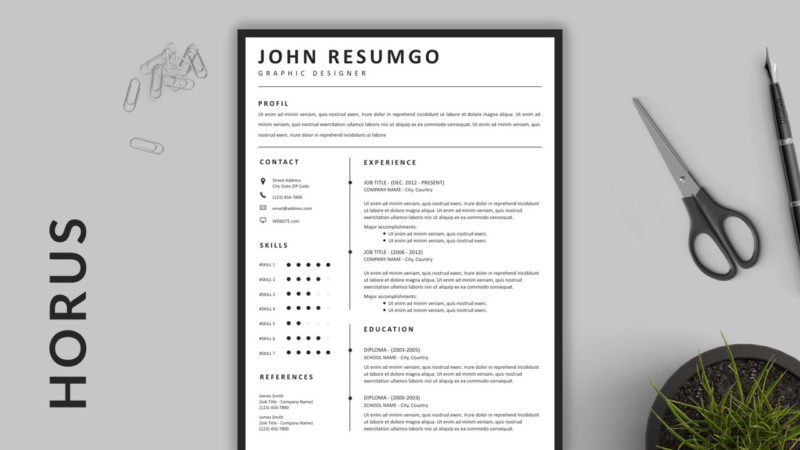 Best Simple And Professional Resume Templates | ResumGO