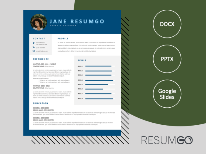 Free Resume Templates with Border - Instant Download | ResumGO
