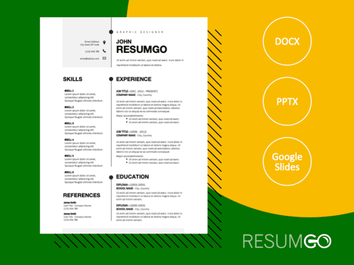 CYPRESS – Solid 2-column Resume Template | ResumGO
