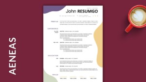 Best Free Single-Column Resume Templates | ResumGO