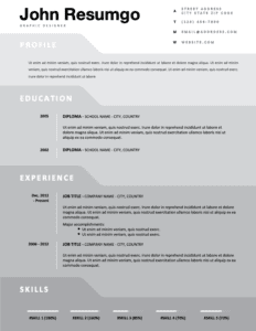 RYLEY – Simple Gray Resume Template | ResumGO