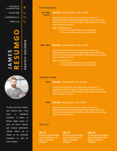 WYNN – Black and Orange Resume Template | ResumGO